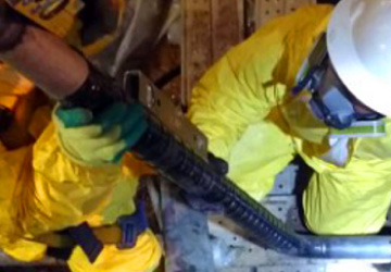 Bonlok South East Asia (SEA)